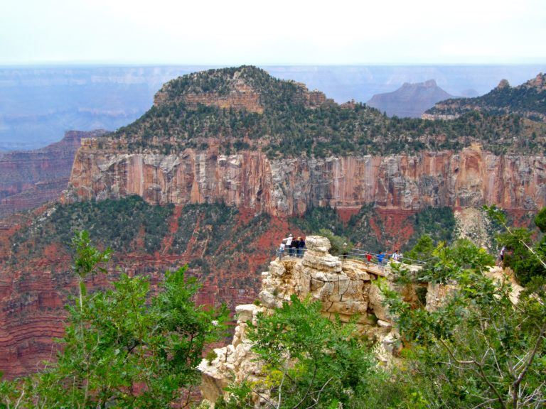 Grand Canyon North Rim vs South Rim: Which Side is Better to Visit?