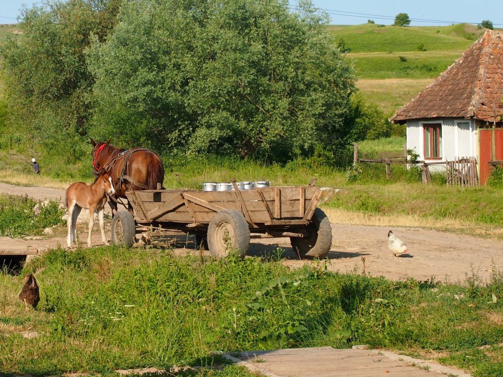 Village Scenes: Life in Rural Romania