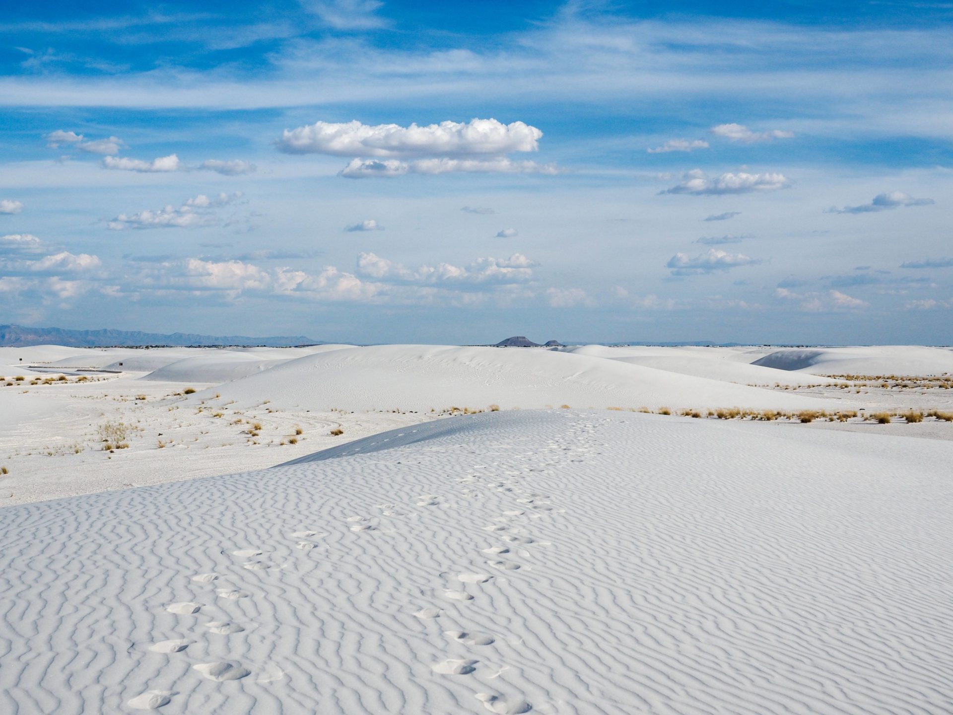 White Sands National Park: Everything You Need to Know About Visiting