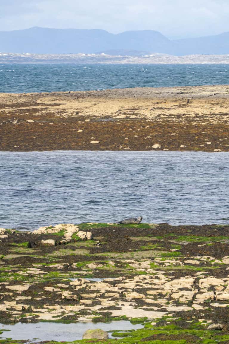 Inis Mor Day Trip: 8 Awesome Things to Do on Inismore in Ireland