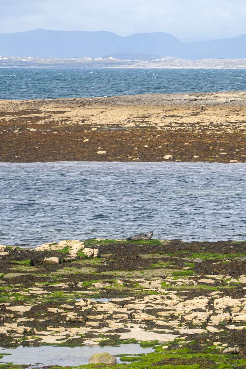 Inis Mor Day Trip: 8 Awesome Things to Do on Inismore in Ireland