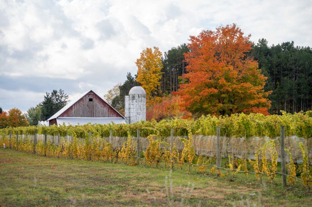 Top Things to Do on Michigan's Leelanau Peninsula in One Day