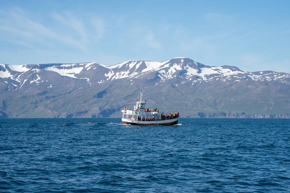 7 Awesome Things to Do in Husavik, Iceland in One Day
