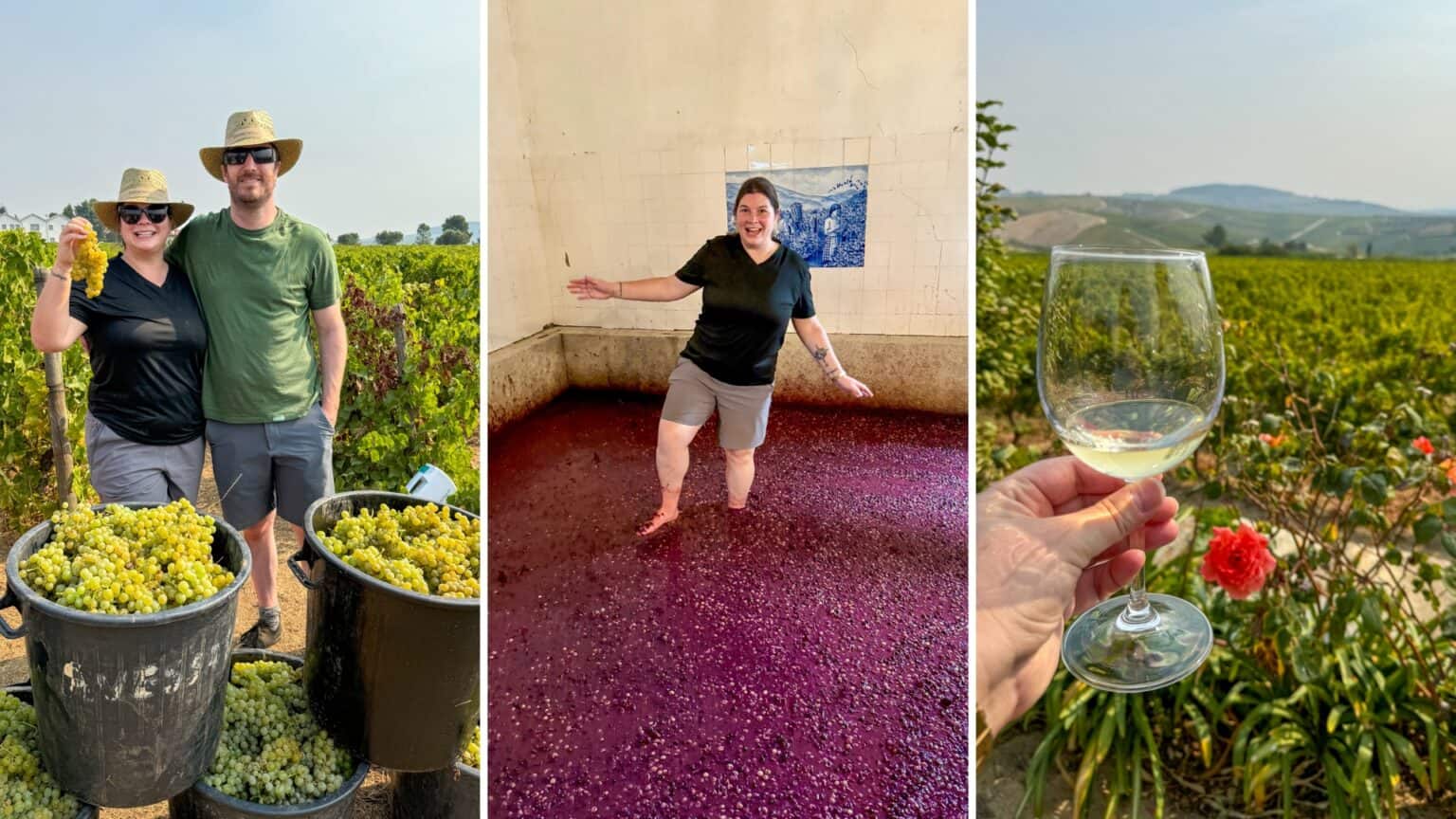 How You Can Stomp Grapes in the Douro Valley in Portugal